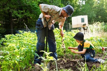father and son gardening | Healthy Building Science, Inc.
