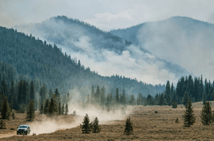 Dust and Smoke from Fires. Some people at greater risk | Healthy ...