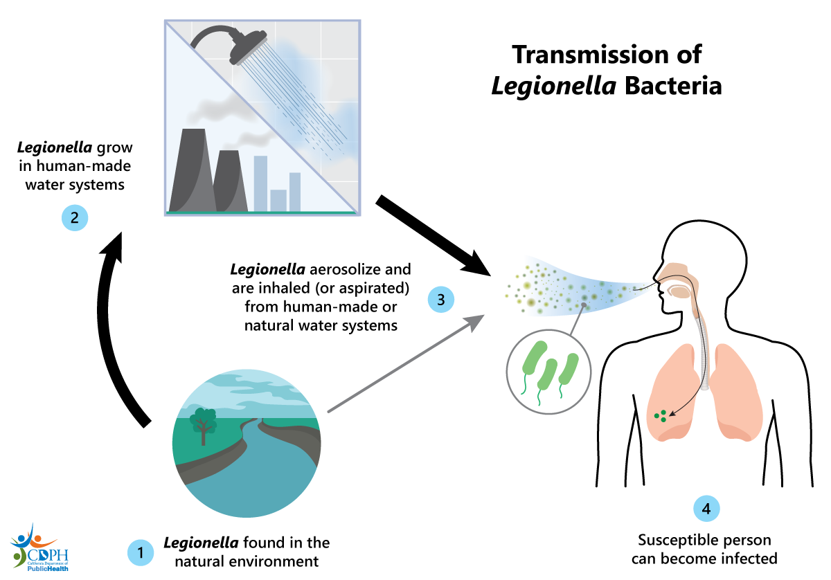 The Hidden Threat: Legionella and Legionnaires' Disease